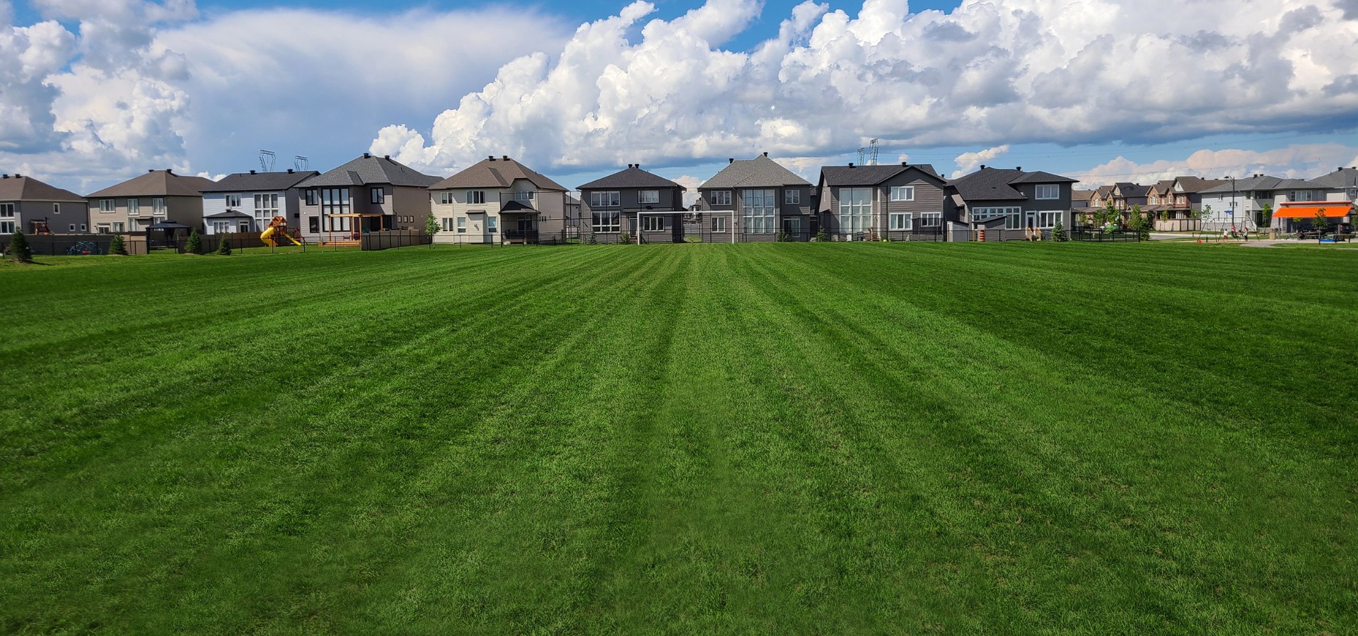 Home - Davis Landscape & Design